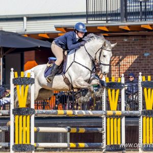 Browse horse for sale listings - page 1 :: iSpyHorses, New Zealand and ...