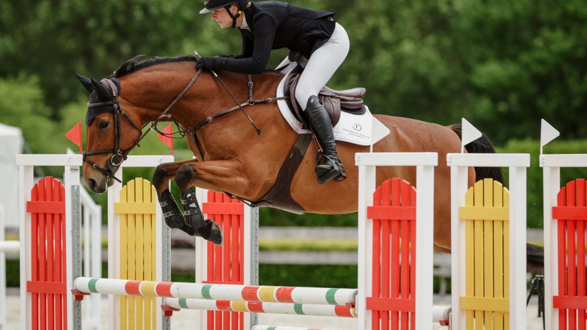 ISpyHorses connects horse people and their horses throughout the world