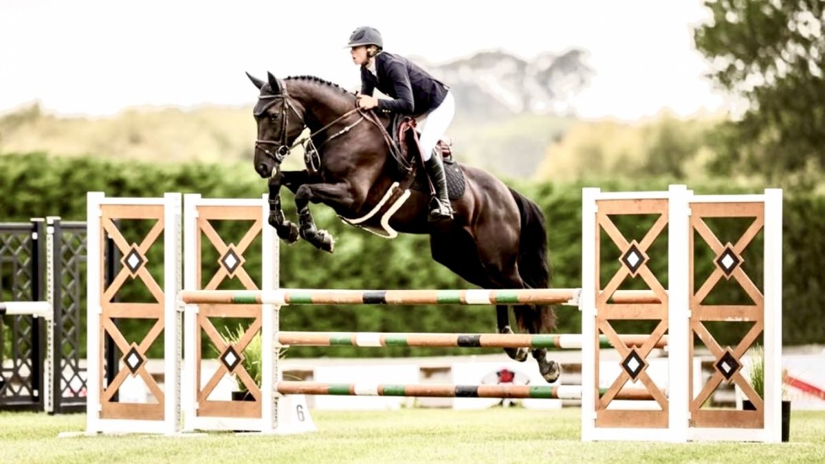 ISpyHorses connects horse people and their horses throughout the world