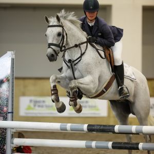 Browse pony for sale listings - page 1 :: iSpyHorses, New Zealand and ...