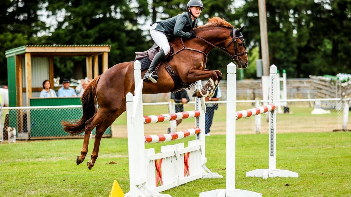 ISpyHorses connects horse people and their horses throughout the world